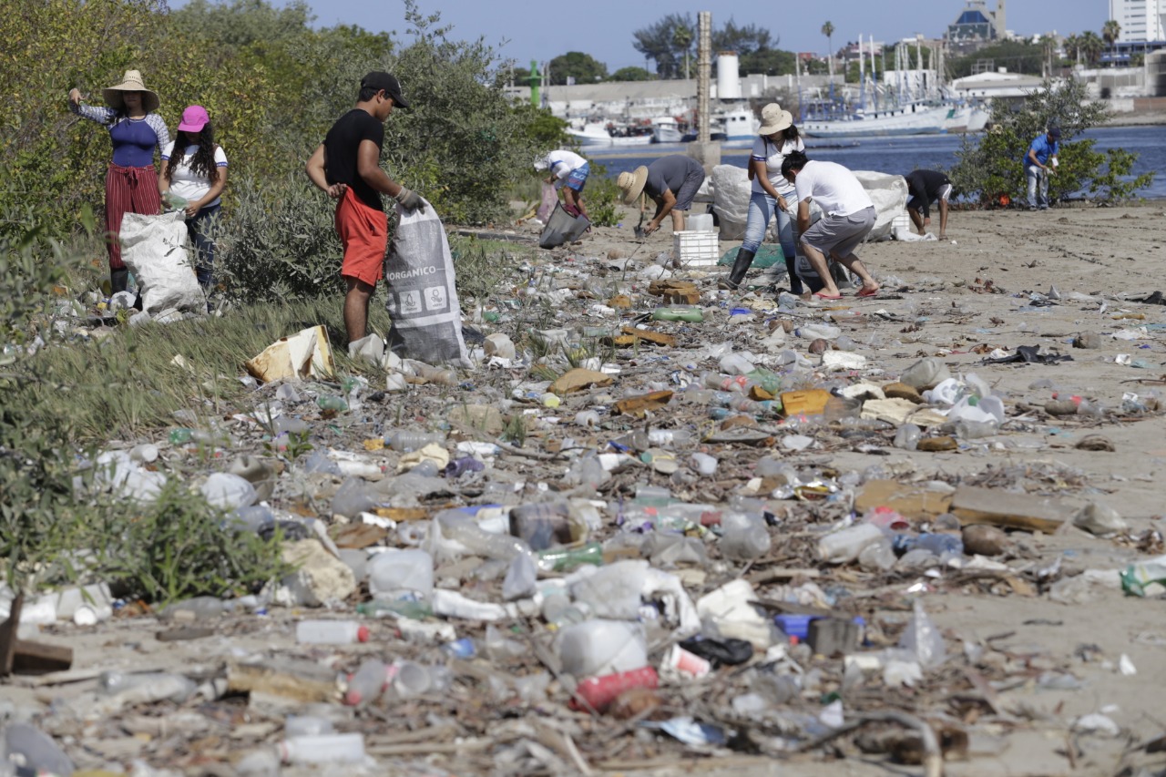Rescate de la Isla Basura de Mazatlán en National Geographic - Punto MX