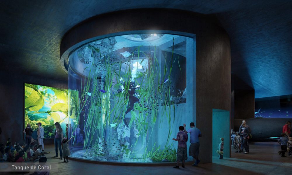 ¿Qué pasó? Nuevo Acuario pospone inauguración hasta 2023 - Punto MX