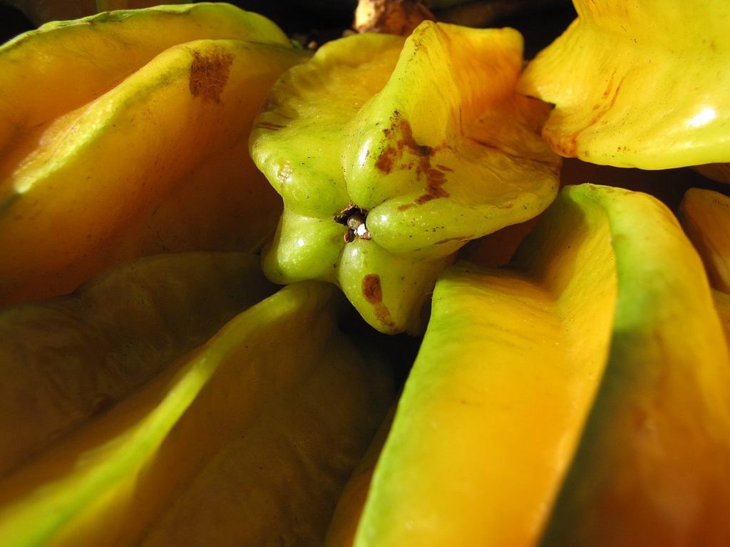 Conoce las propiedades de la fruta estrella o carambolo - Punto MX