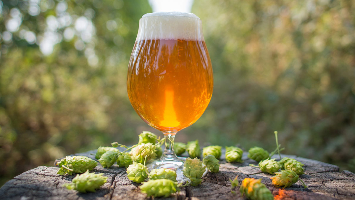 ¿Qué alimentos combinan mejor con la cerveza artesanal? - Punto MX