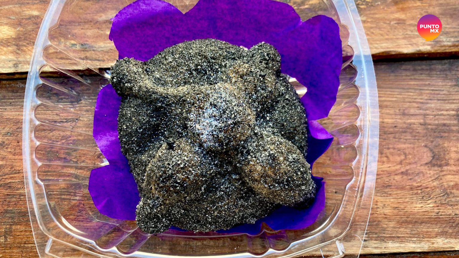 Pan de muerto con ceniza, único en Mazatlán. Te decimos dónde ...