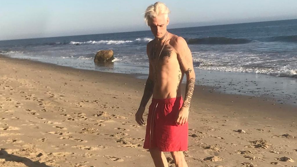 ¡Uno vuelve a donde fue feliz! Cenizas de Aaron Carter serán esparcidas ...