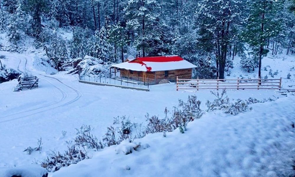 En Sinaloa también cae nieve. Descubre qué comunidades se pintan de ...