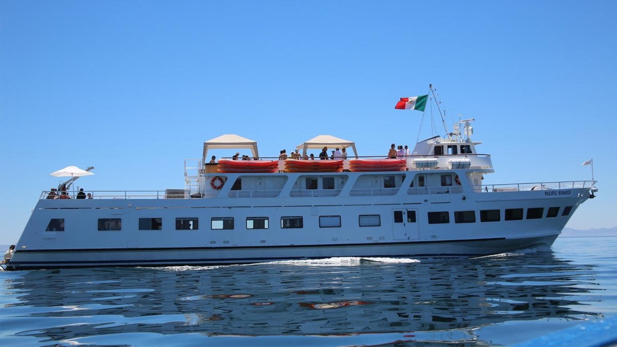 Nace Pacific Monarch, crucero 100% mazatleco para amantes del ...