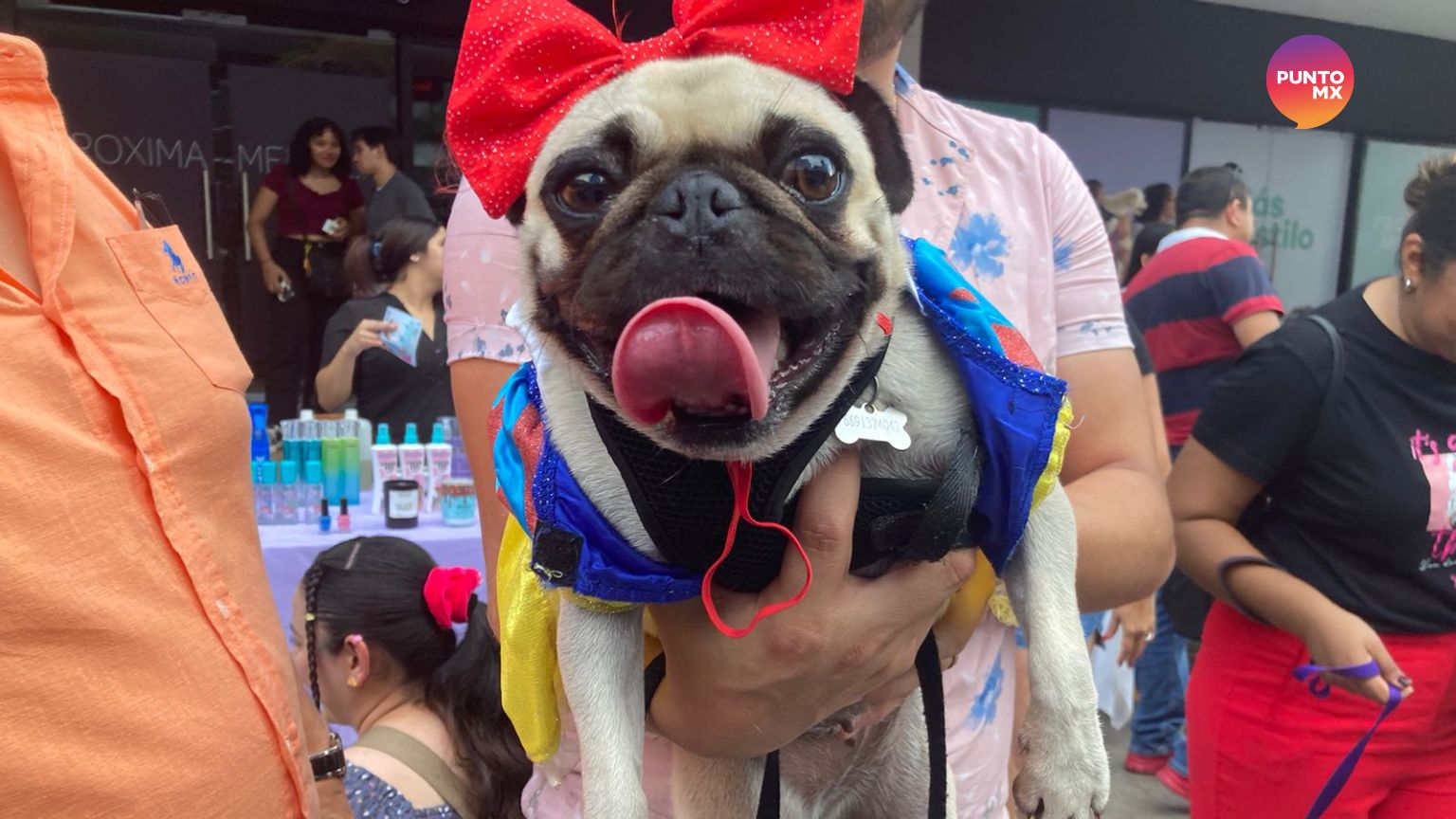 Se vive el Día más ‘Perrón’ en Isla Tres City Center - Punto MX