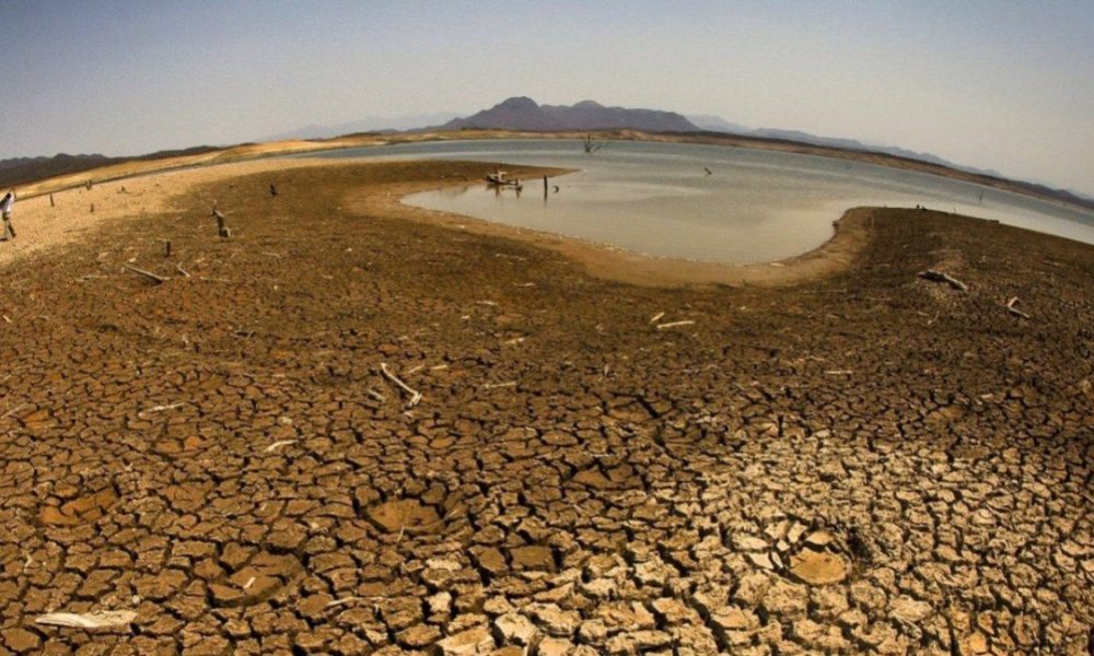 La sequía, un problema a enfrentar todos este 2024 - Punto MX
