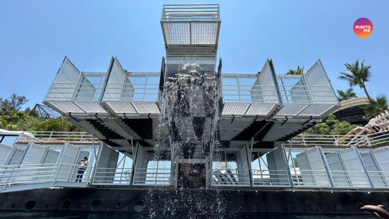 MUNBA, el museo en México que le rinde homenaje a la ballena - Punto MX