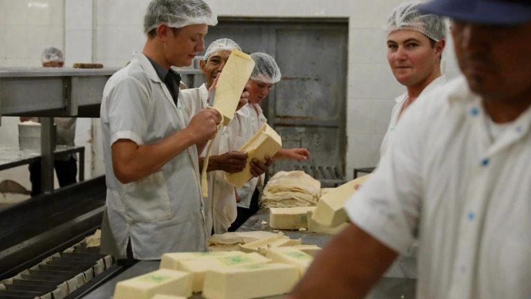 ¿Ya conoces la colonia menonita? Durango te ofrece vivir la experiencia ...