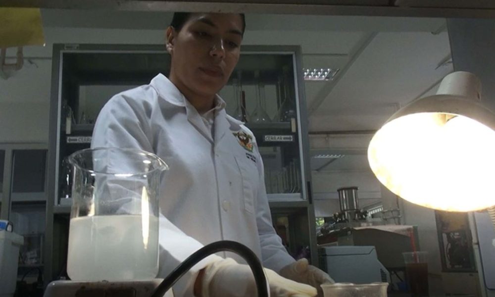 Del noroeste de México a la lucha contra el cáncer: la uvalama - Punto MX