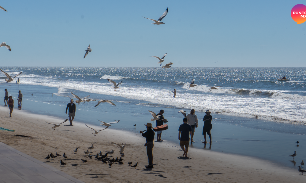 ¿Vamos a la playa? Las de Sinaloa son top y aptas para uso recreativo ...