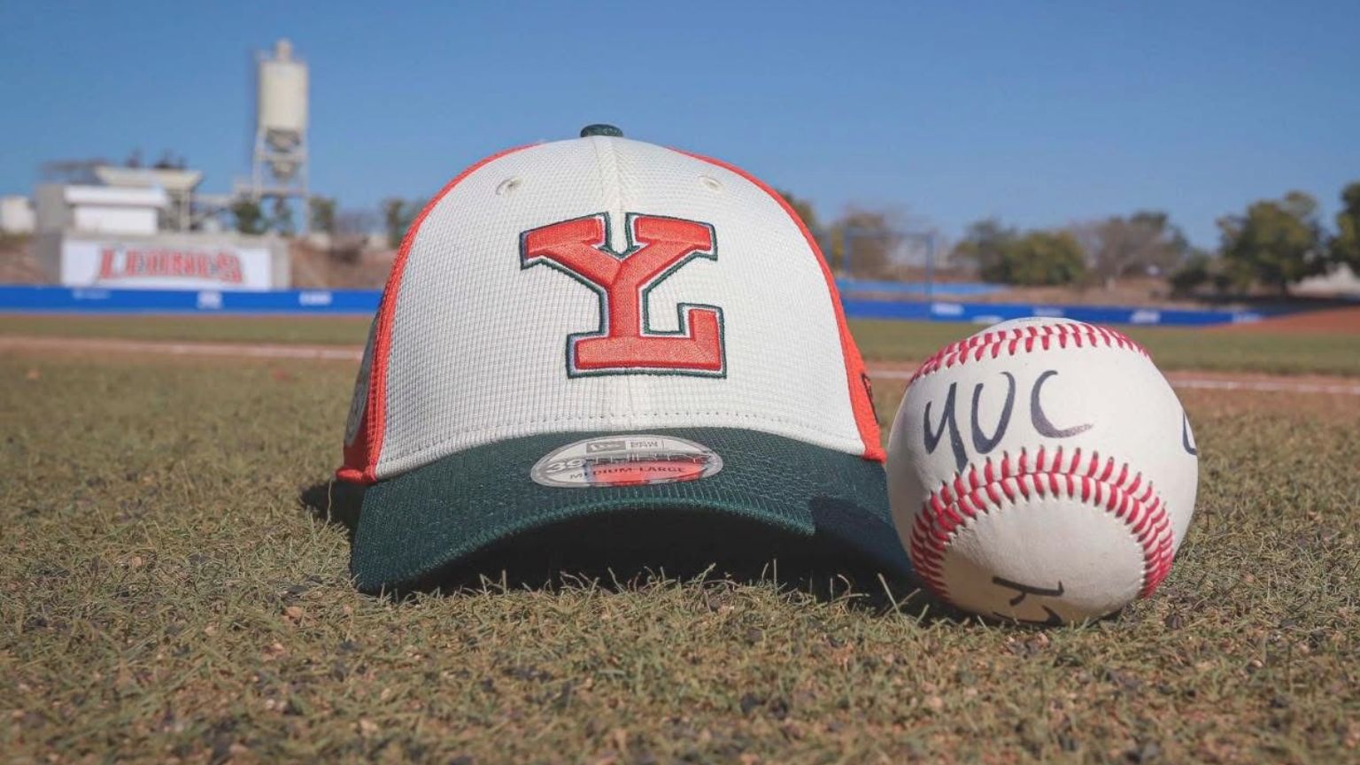 Leones, un equipo de época; ahora toca reestructurar: Erick Arellano ...