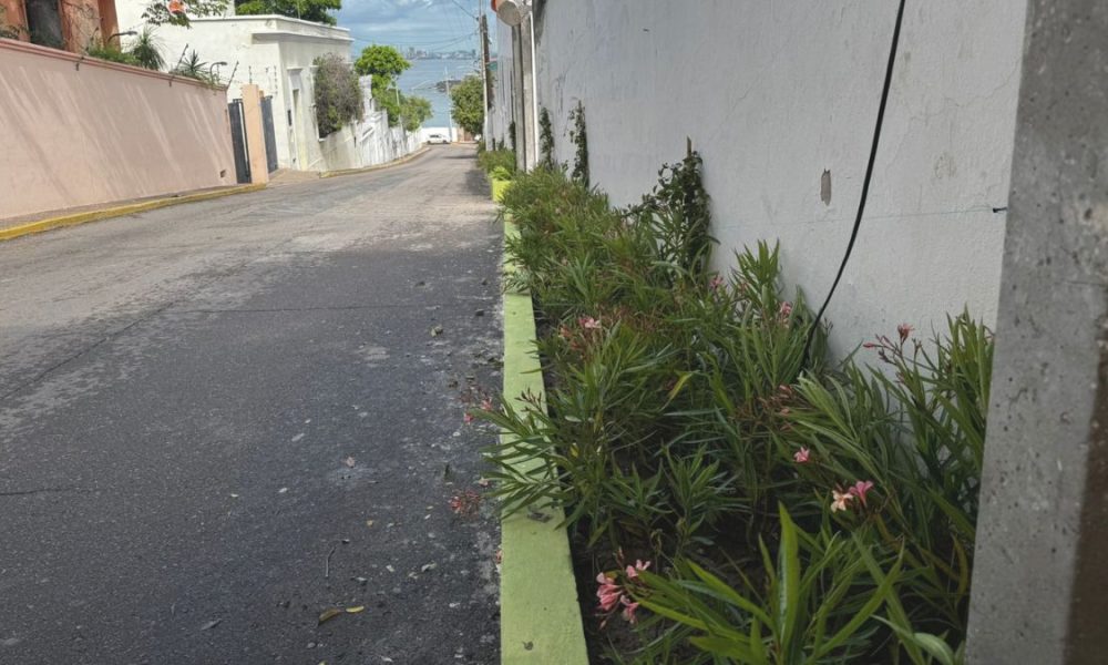 El Centro Histórico florece con nueva área verde en calle Observatorio ...