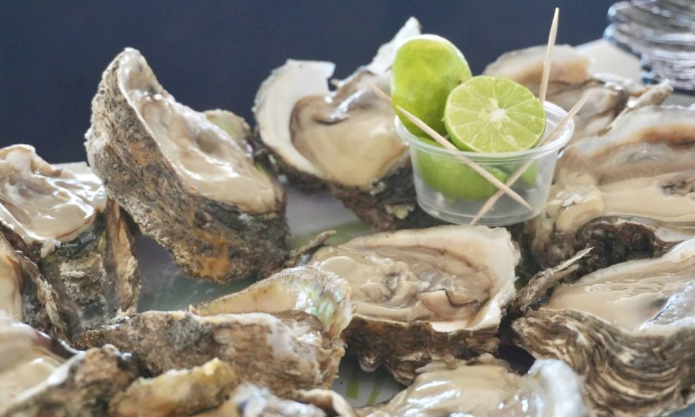 Celestino Gazca celebra el sabor del mar con la Feria del Ostión - Punto MX