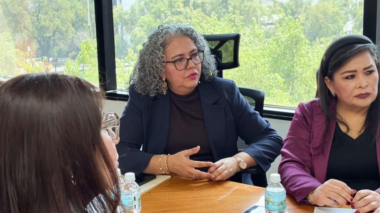 Graciela Domínguez lleva a CFE el reclamo de tarifas justas para ...