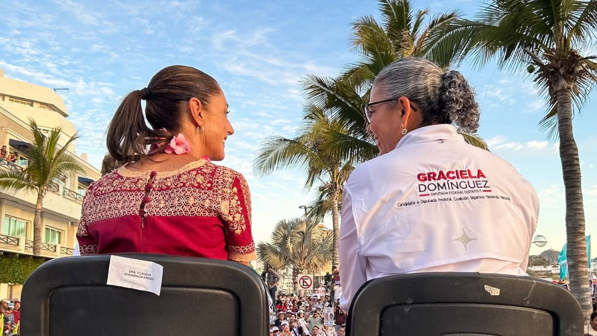 Graciela Domínguez pide licencia al Congreso: busca candidatura al ...